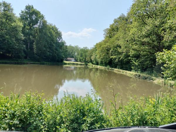 Deux éTangs Poissonneux Au Milieu Des Bois Avec Gîte Moderne, La Halte Des Deux Lacs - Province de Namur