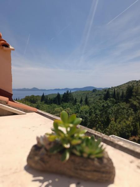 Villa Fragola 2 - Slano