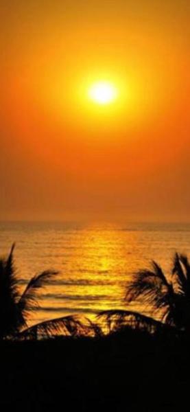 Appartement Luxueux - Senegal