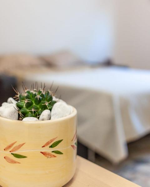 Nopal Casa Vacanze - Carovigno