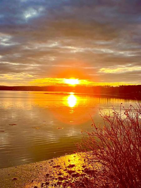 Edgewater Sunrise Apartment - Chemainus