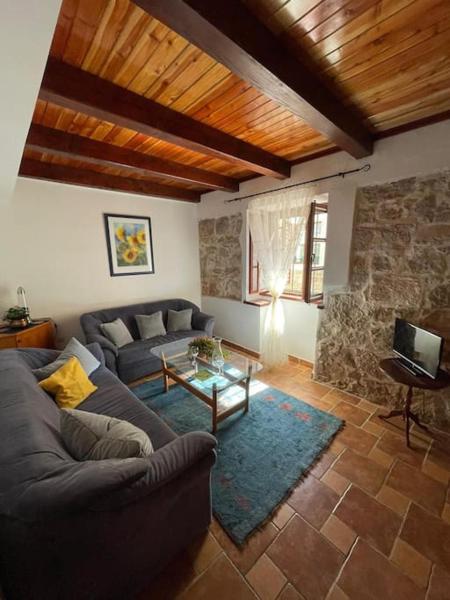 Harry's House - Tisno