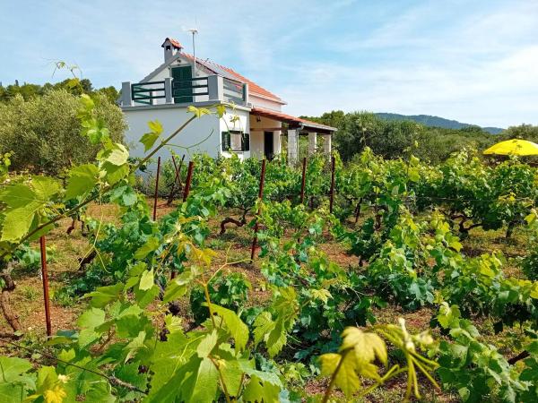 Cottage The Quiet - Vela Luka