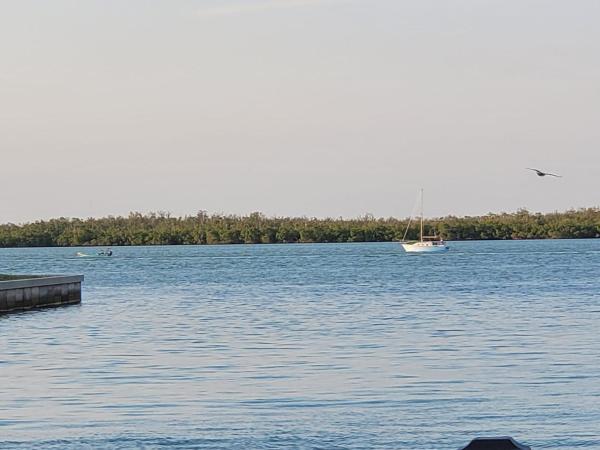 Beach Water Front Luxury Estate - Marco Island, FL