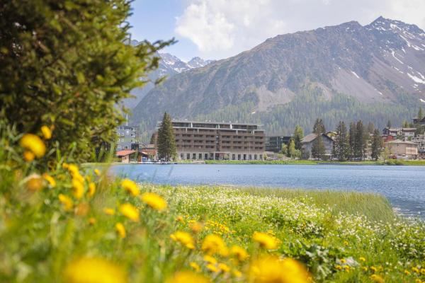 Aves Arosa - Canton des Grisons