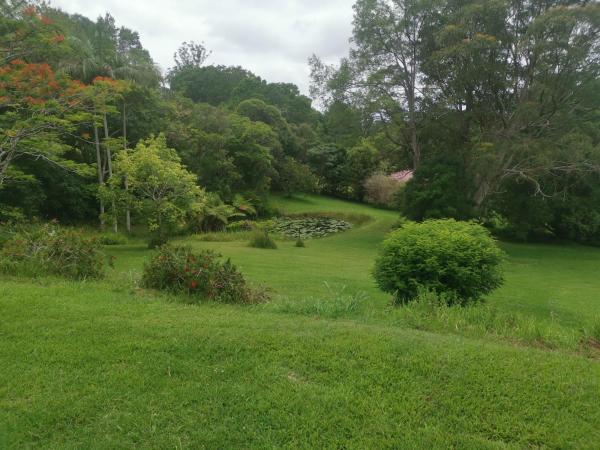 Rural Escape - Coffs Harbour