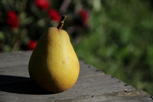 Ferienwohnung Butterbirne - Brandenburg, Germany