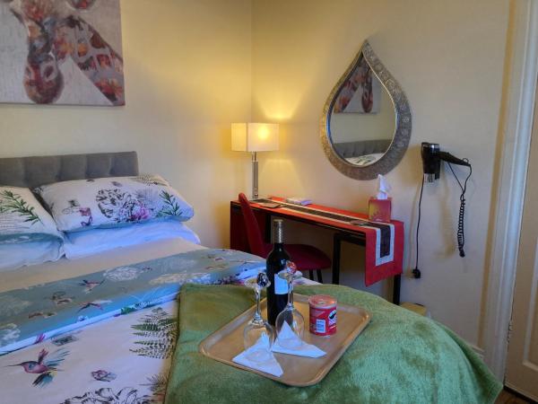 Mountroyal Victorian Studio Self Catering Apartment 3 - Belfast