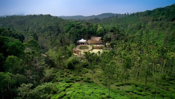Maple Ash Resort - Kerala