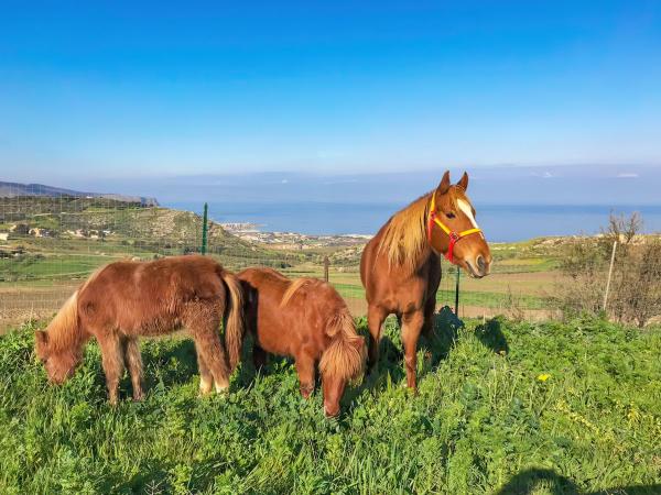 Villa Panoramica Sul Mare - Valderice