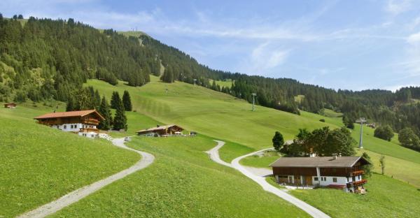 Salvenalm - Brixen im Thale
