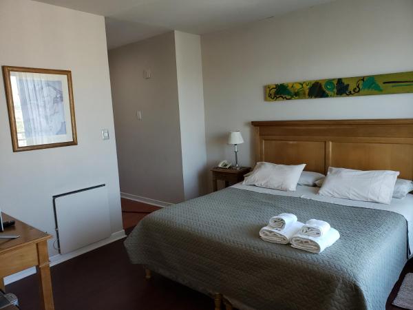 Premium Mendoza - Mendoza