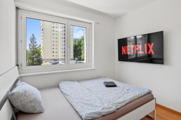 Pearlstay - Spacious Excellent Connection Parking Washer - Winterthur