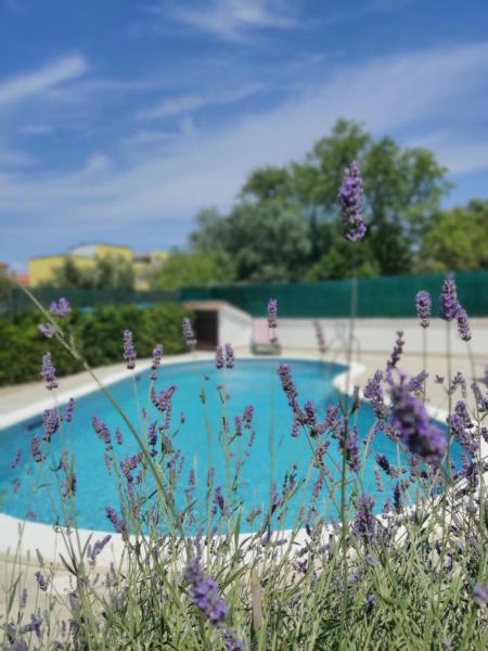 Dream Vacation - Ližnjan