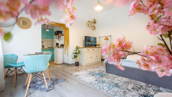 Sun X Mountains - Black Church - Brașov