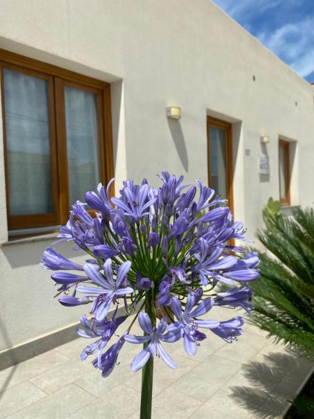 B&b La Mia Isola - Сан-Вито-Ло-Капо