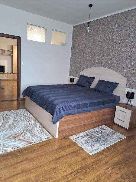 Anna City Apartament - ティミショアラ