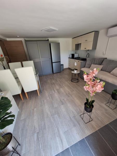 Guesthouse Flower - Ljubljana