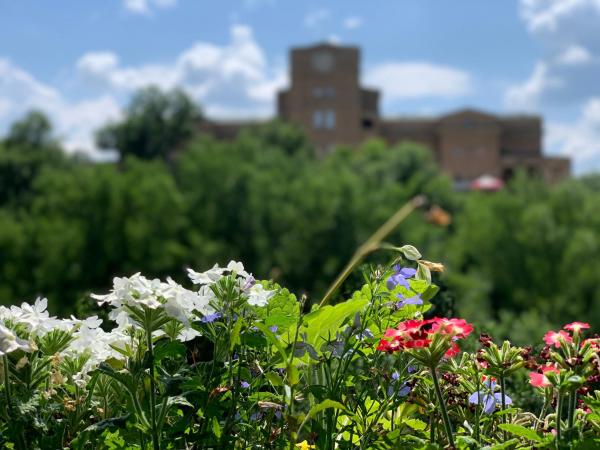 Spring-пролет Apartment, Old Town, Veliko Tărnovo - Veliko Tarnovo
