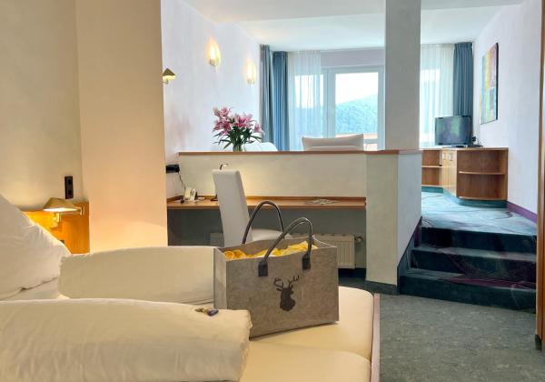 Hotel Am Hirschhorn - Wellness - Spa - And More - Rhineland-Palatinate