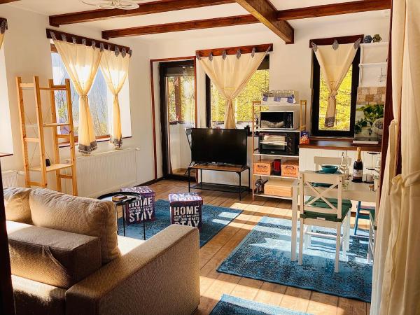 Studio Mirage@snow Residence (Ski & Forest) - Transylvania