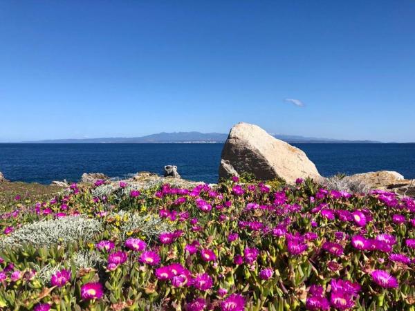 Relaxing Cristal Bedroom Apartment Sleeps 5 Persons - Santa Teresa Gallura