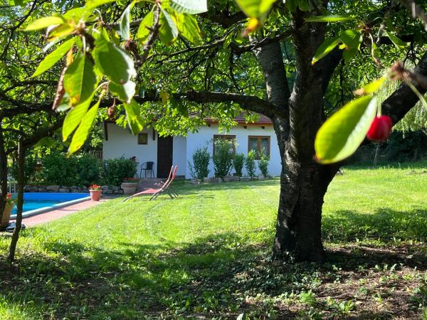 Búzavirág Apartman - Tapolca