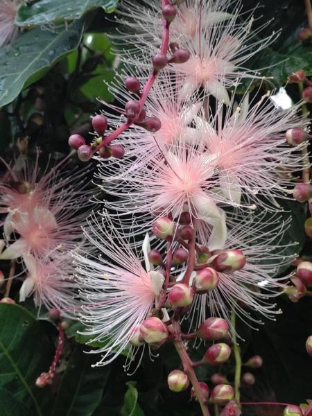 Yilan B&b - Happy Snail - 이란 현