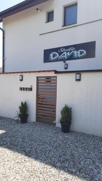 *Studio David* - Ocna Sibiului