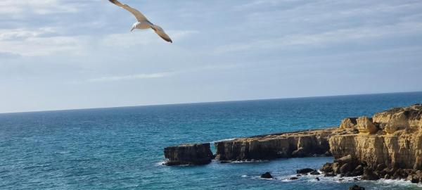 Villa Lidia Oura Beach With Private Swimmingpool - Albufeira