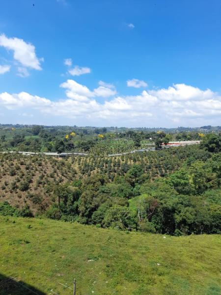 Apartamentos Y Piscina A 3 Min Del Parque Cafe - Armenia