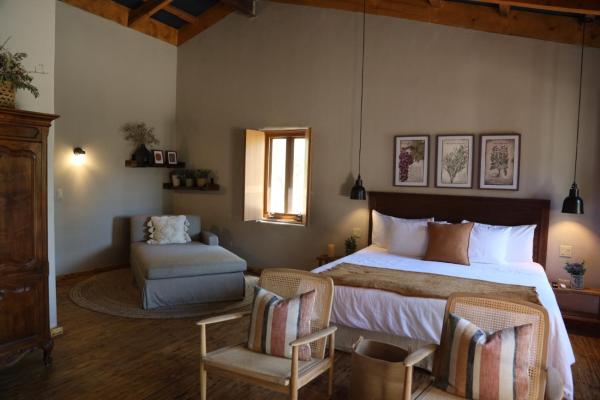 Alma Liebre Viñedos Del Valle - Baja California