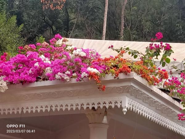 Moon Moon Garden - Wayanad