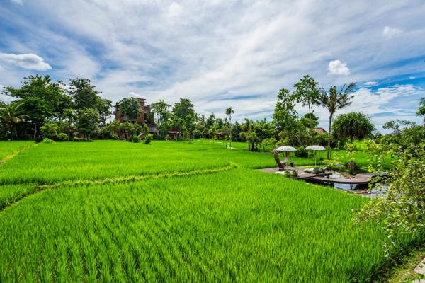 Kajane Yangloni At Ubud Bali - Ubud