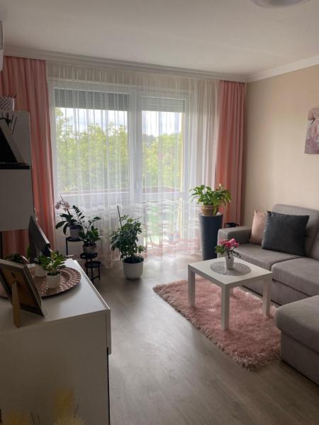 Sóstó Forest Apartman - Nyíregyháza
