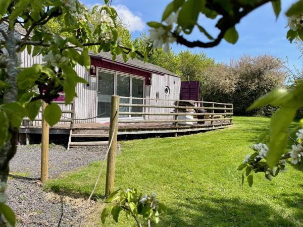 Purple Cargopod At Lee Wick Farm Cottages & Glamping - West Mersea