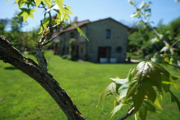 Castagna Dulcis - Monte Amiata
