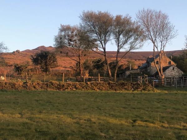 Penfeidr Newydd - Cardigan