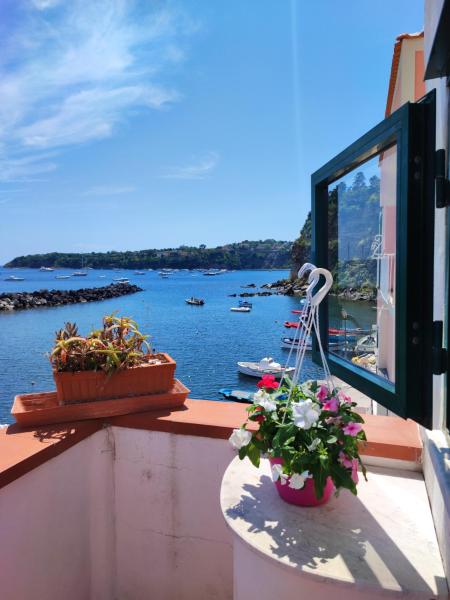 La Casa Di Nonna Rosa - Прочида