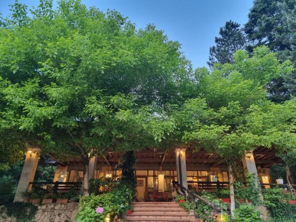 Guesthouse Alberti Llogara - Dhërmi