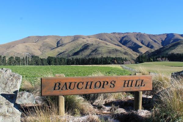 Bauchops Hill Station Farmstay - West Coast
