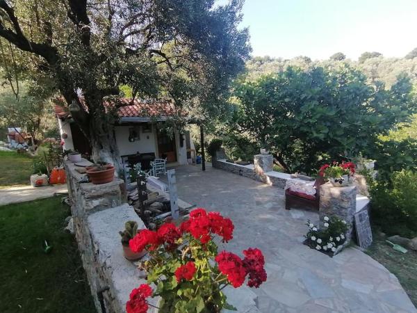 Vasilis' Kalivi - Skiathos