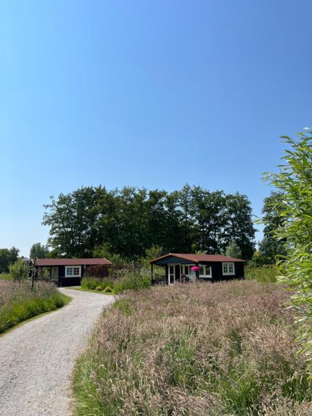 Fields 1216 - Lisse