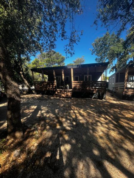 Lily C - Biograd na Moru