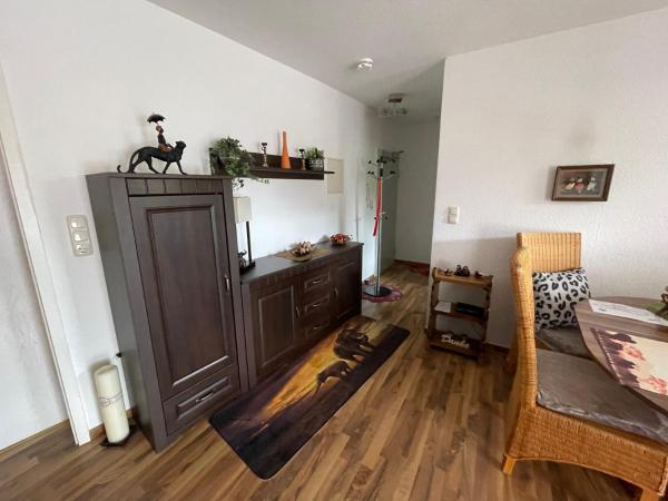 Möblierte Wohnung Für Geschäftsreisen/ferienwohnung Plauen Stadtmitte - Plauen