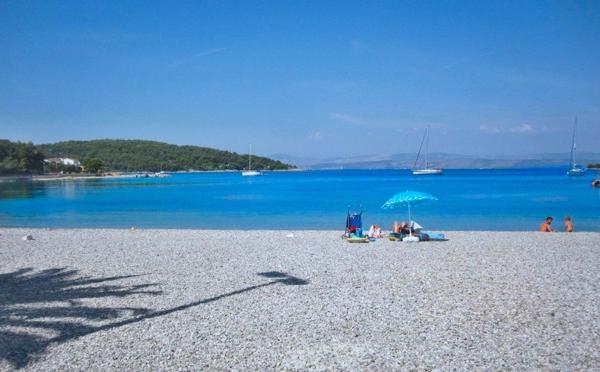 My Oasis - Maslinica