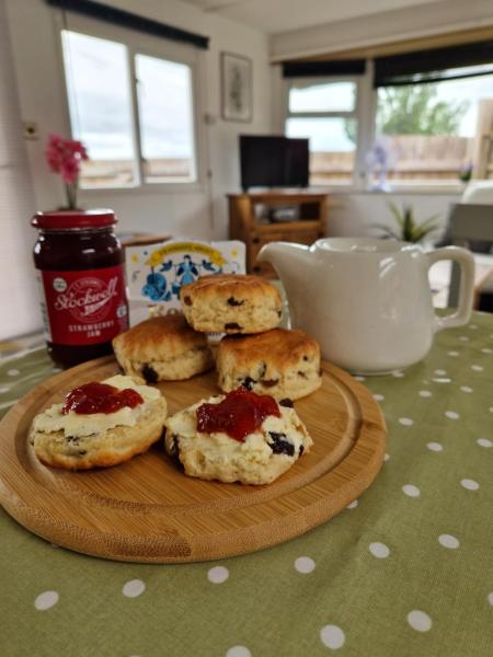 Featheredge Lodge, Uk - Glastonbury
