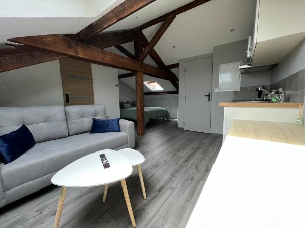 Studio Entièrement Rénové - Département Marne