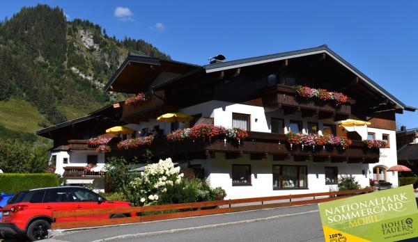 Spacious Double Room With Shower, Wc And Balcony - Weinschreiber, Apart & - Austria