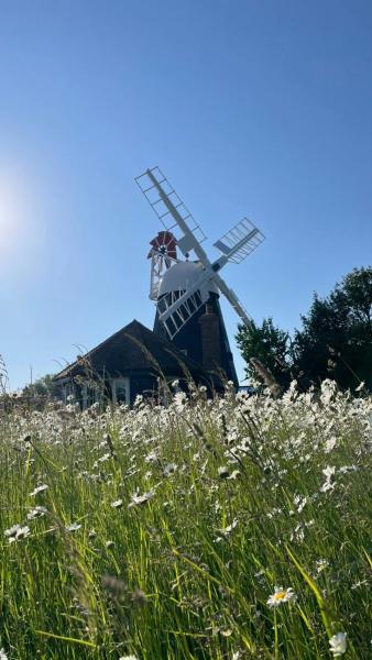 The Millers Cottage - Newmarket